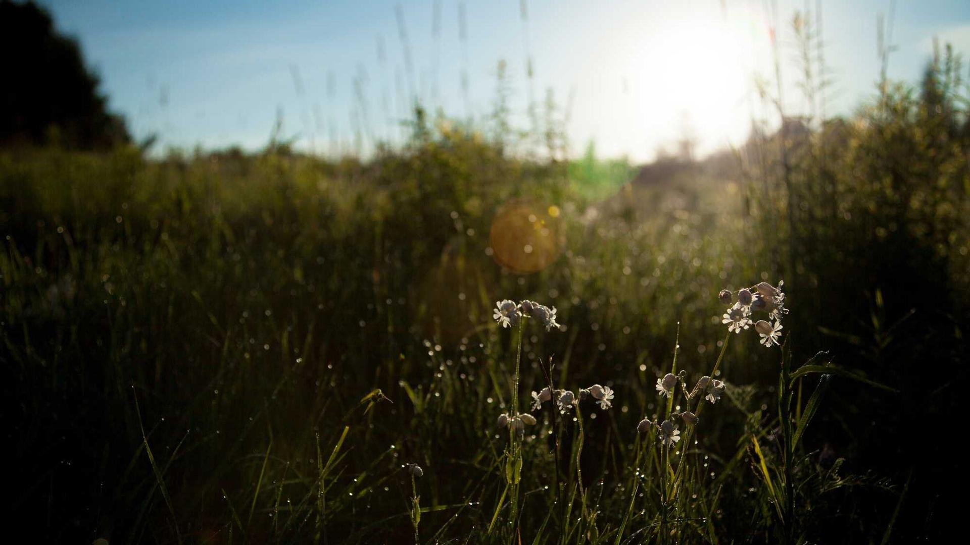 PASG Guide: Anti-Shock Pants Indications Safe Use